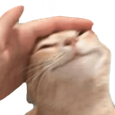 Discord Cat Emojis | Discord Emoji List
