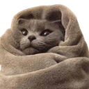 Discord Cat Emojis | Discord Emoji List