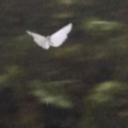 Join Skibidi Rizz Gyatt TikTok Egirl Discord Server | Invite Link